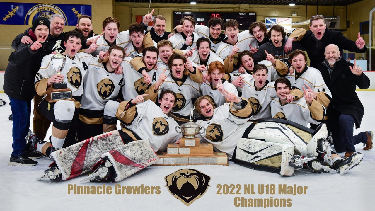 Hockey NL Congratulates all AA and AAA Provincial Champions - HockeyNL