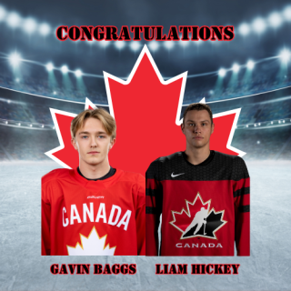 National Para Hockey Team Roster Announced for 2024 Para Cup - HockeyNL