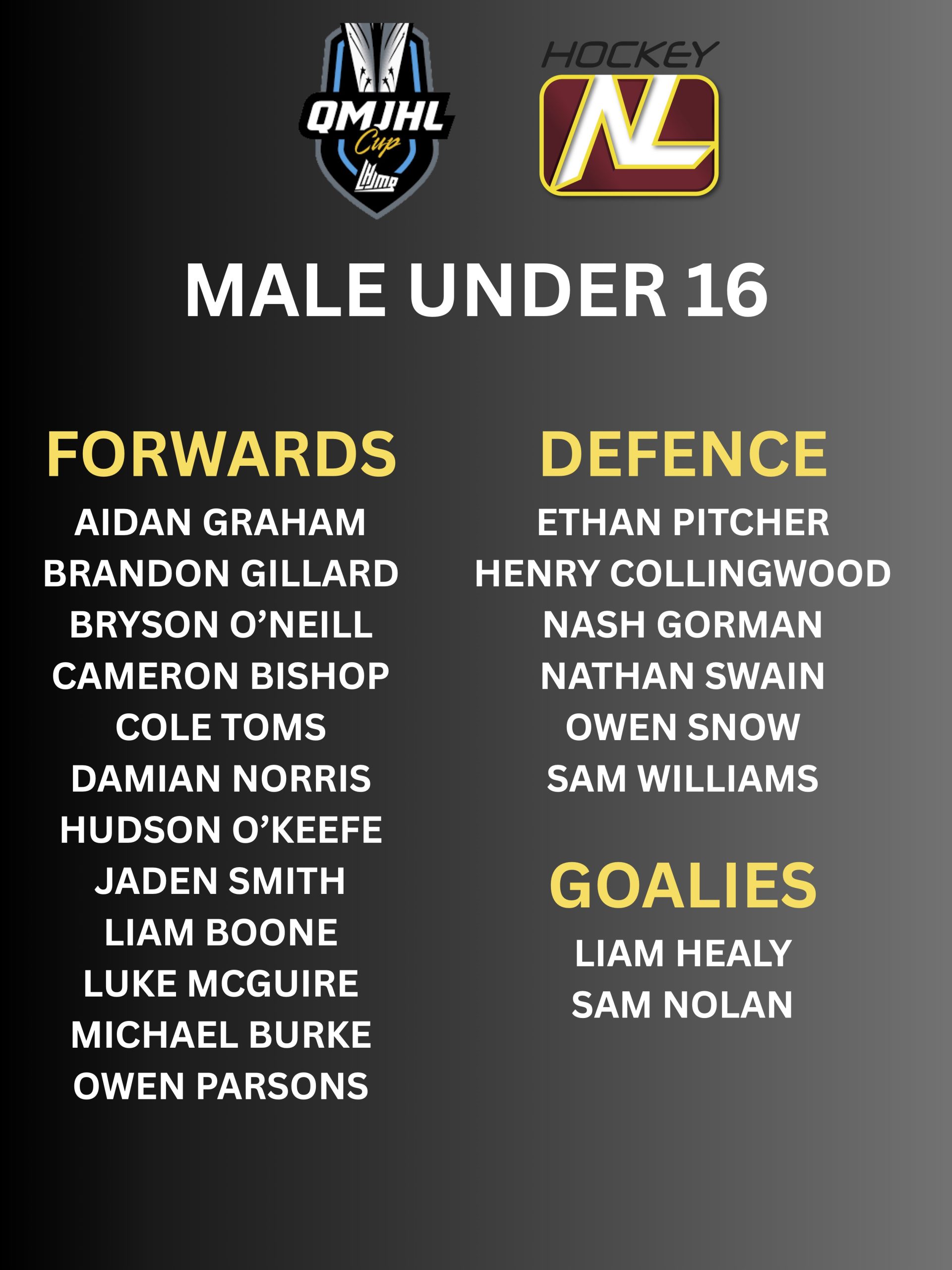Team NL Roster Announced for the 2025 QMJHL Cup - HockeyNL